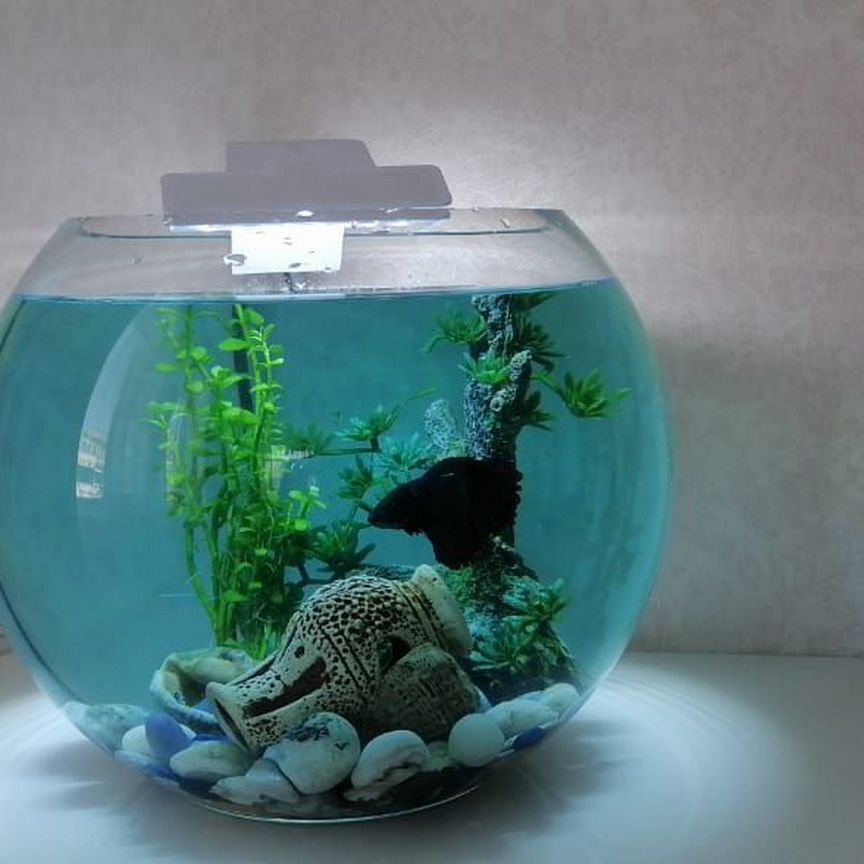Аквариум 10 литров
