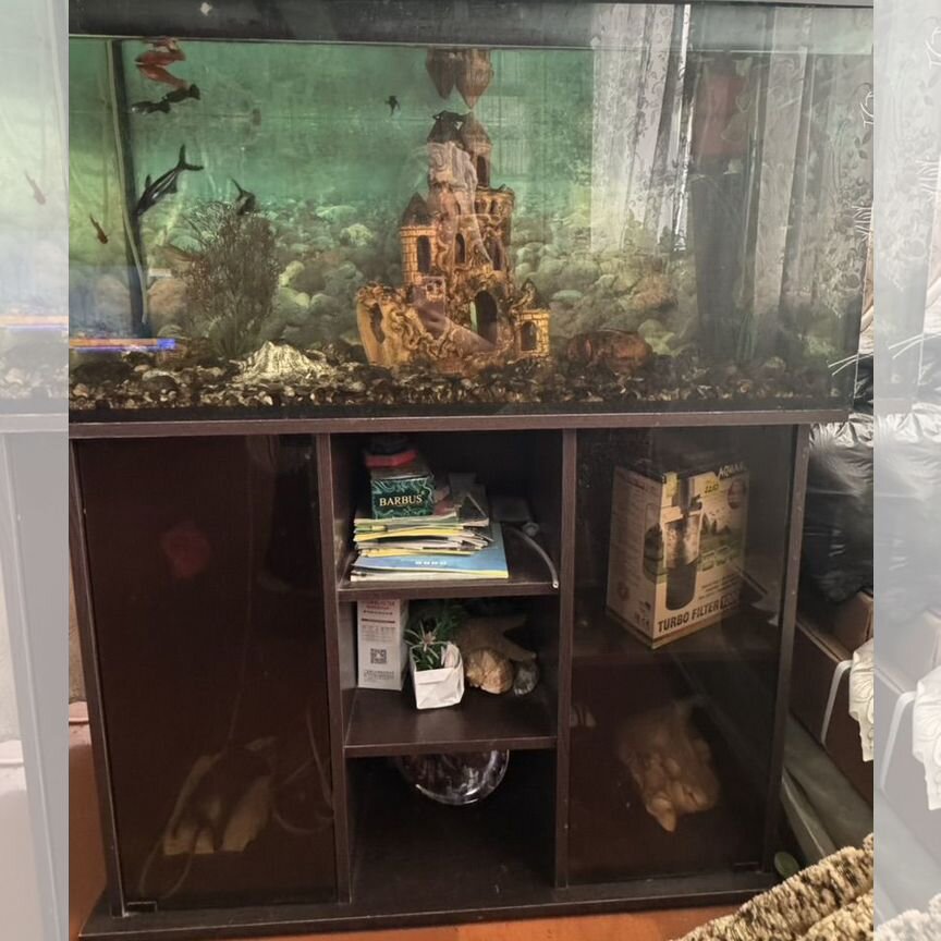 Аквариум с рыбками и декором