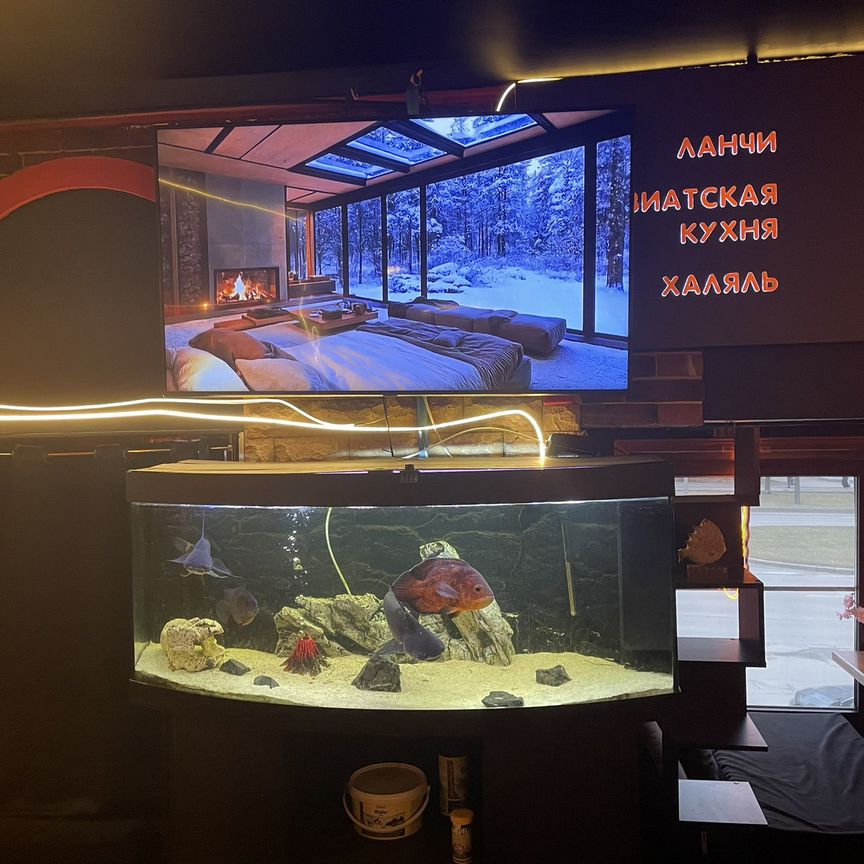 Аквариум с рыбками