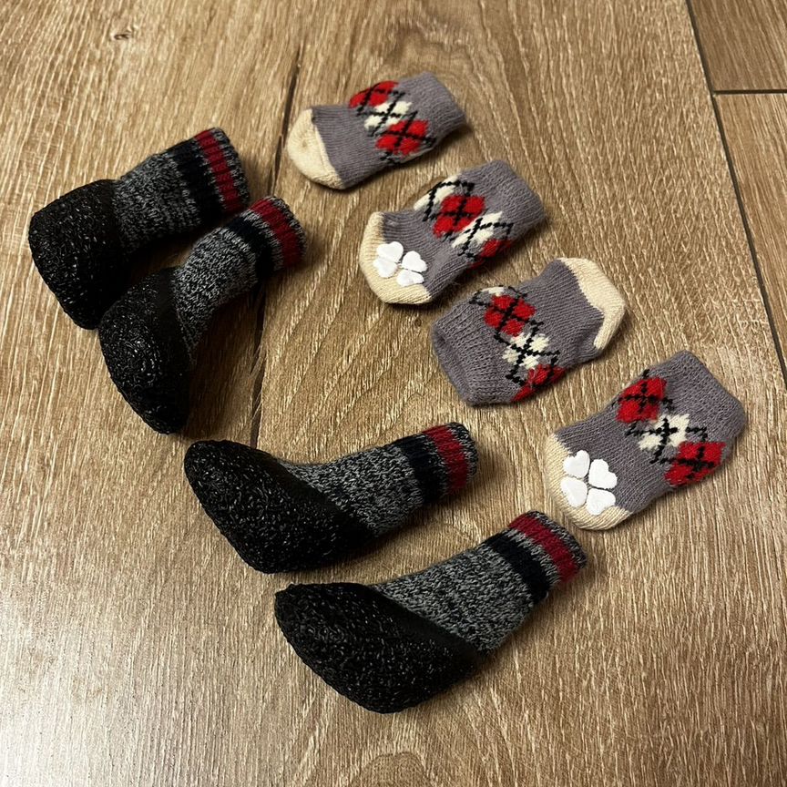 Носки для собак мелких пород