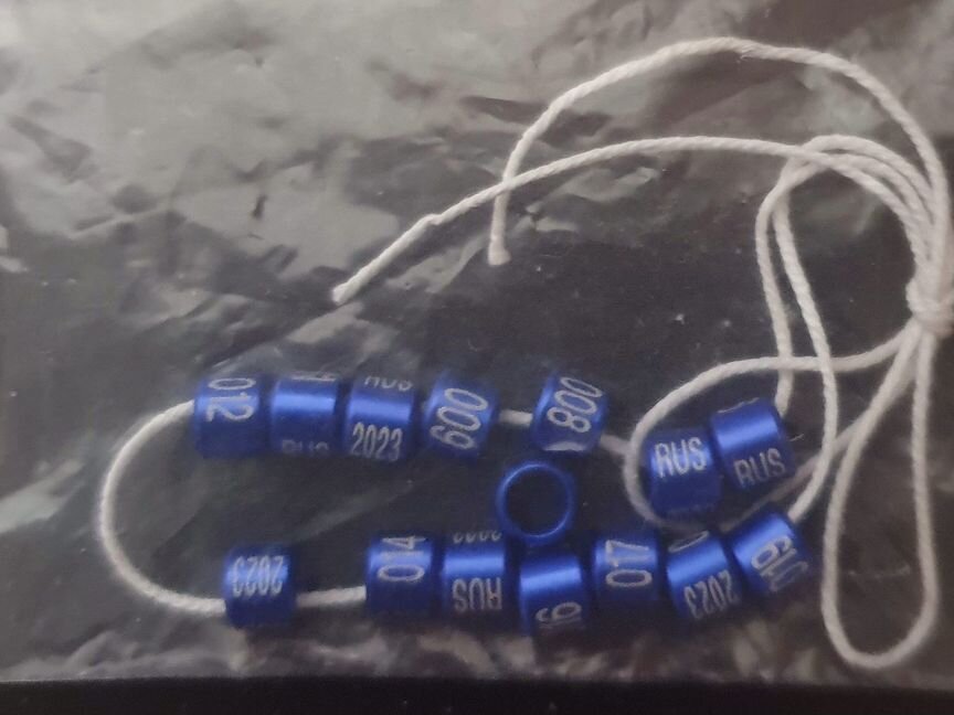 Кольца для птиц