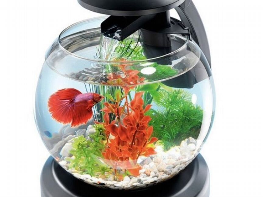 Tetra Аквариум Cascade Globe 6,8 л круглый черный