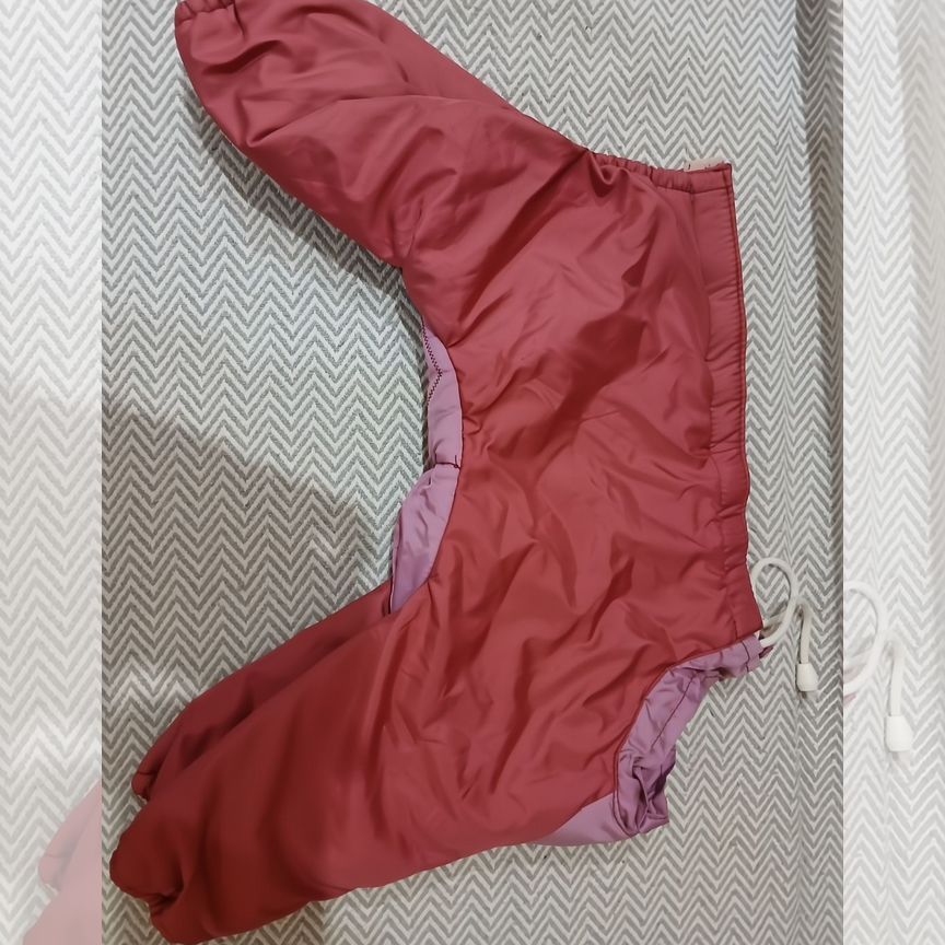 Одежда для собак