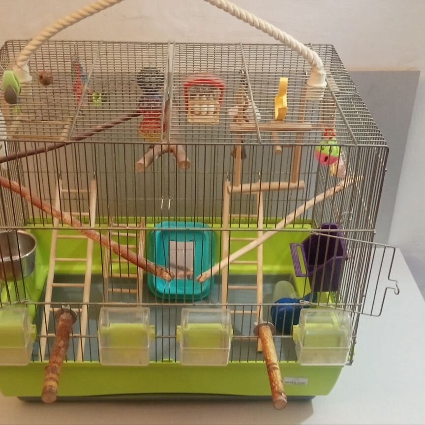 Клетка для попугаев