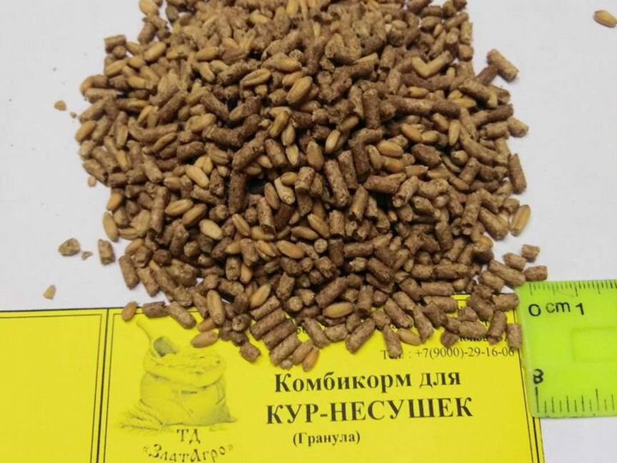 Комбикорм для Кур-несушек