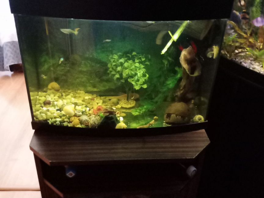 Аквариум 64 литра