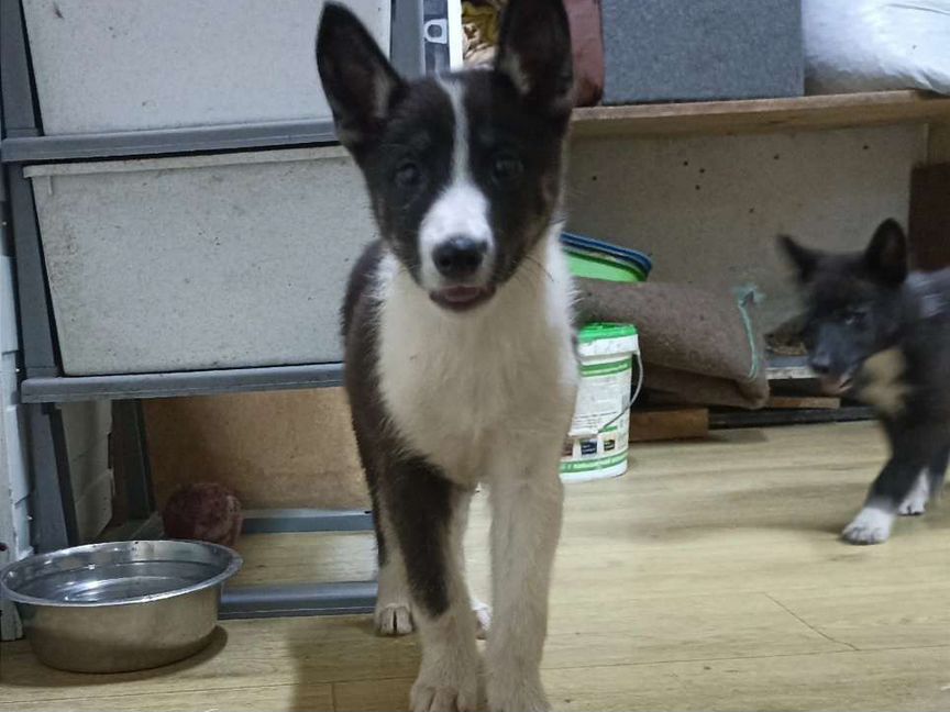 Милый мальчишка