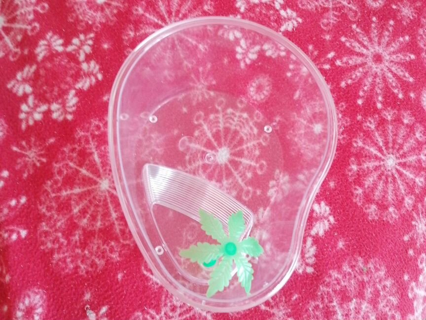 Переноска для черепах