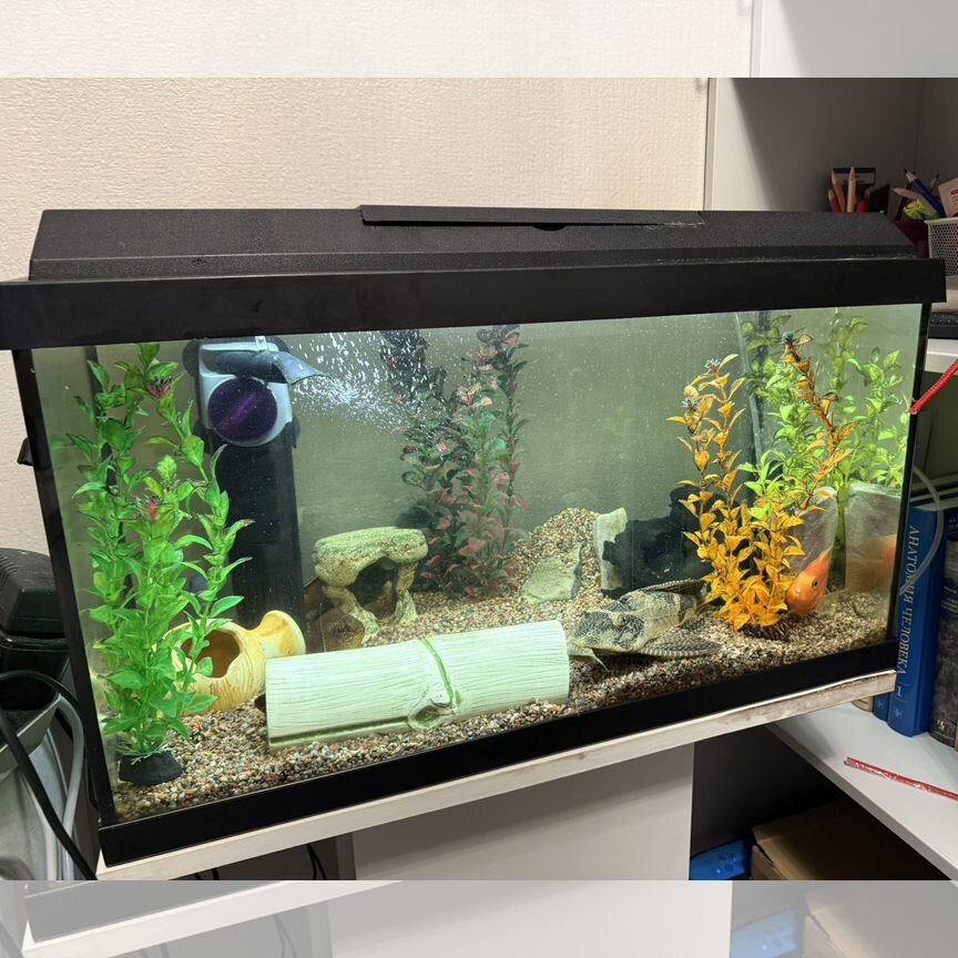 Аквариум с тумбой 70 литров