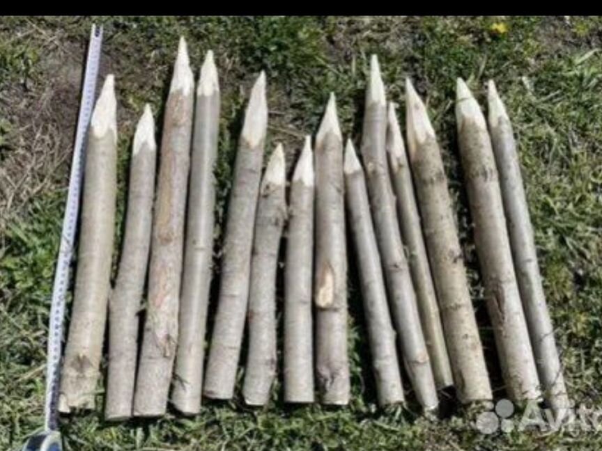 Кол из осины