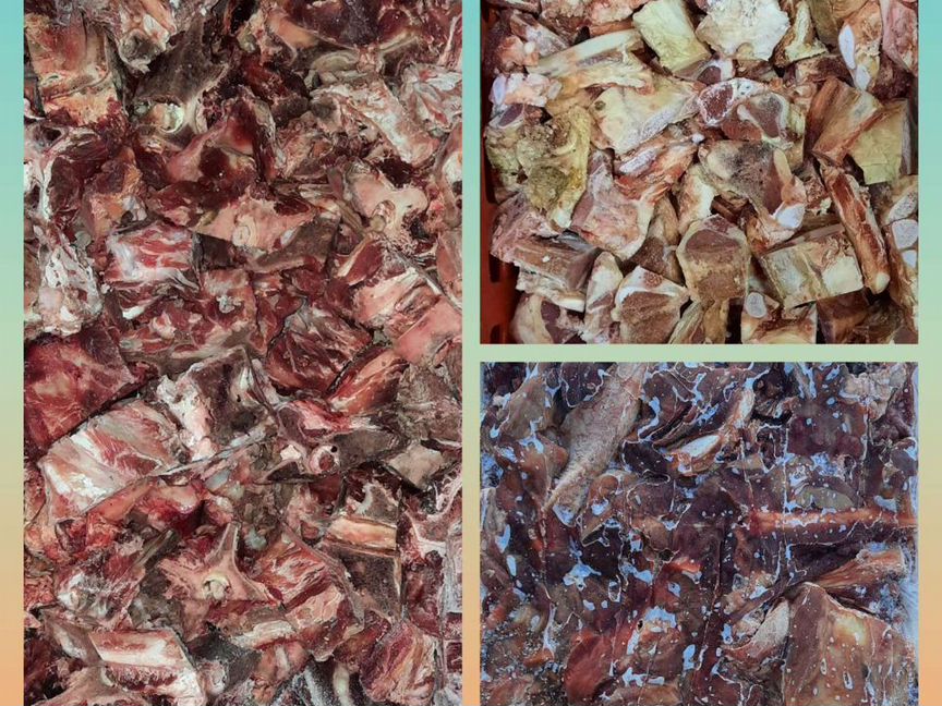 Говяжье рагу (хребет) и хрящи (сахарная кость)