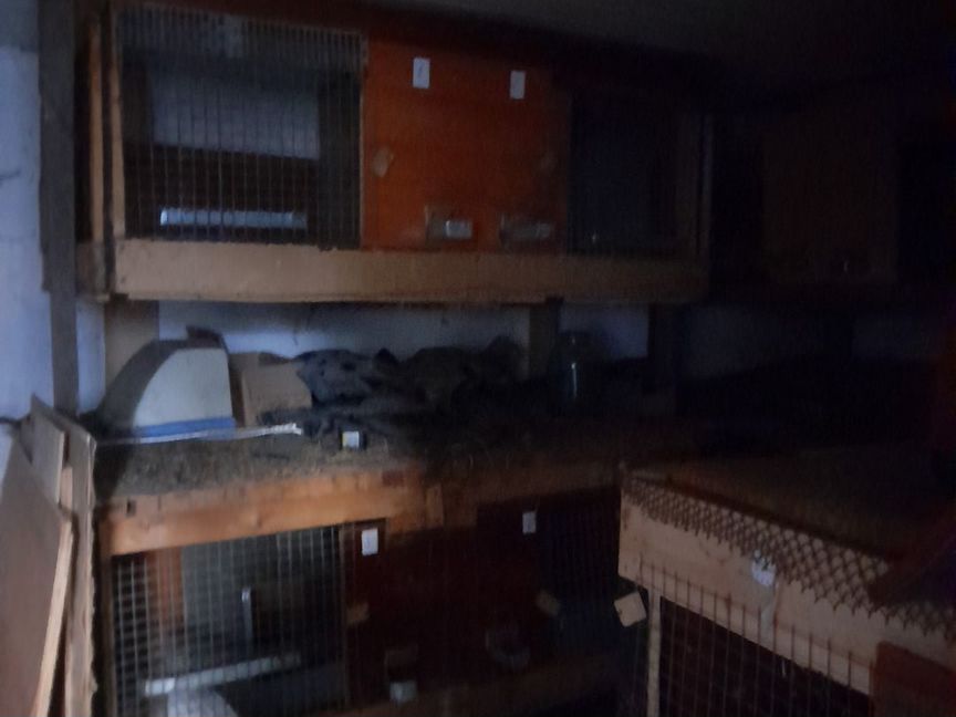 Клетка для кроликов бесплатно