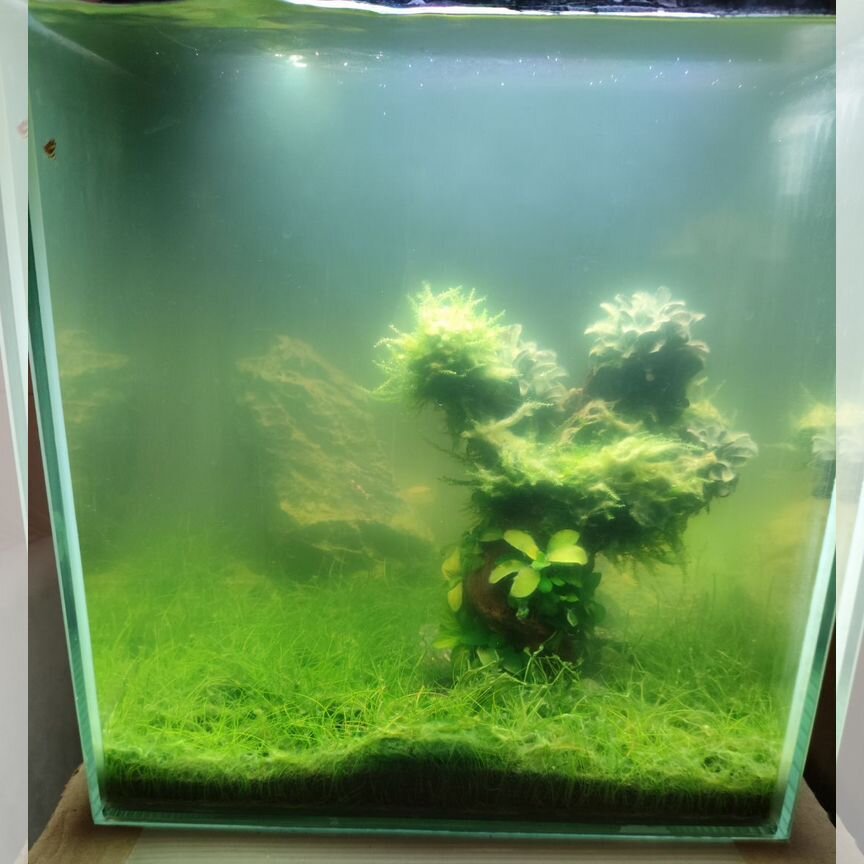 Восстановление и перезапуск аквариумов AquaCraft