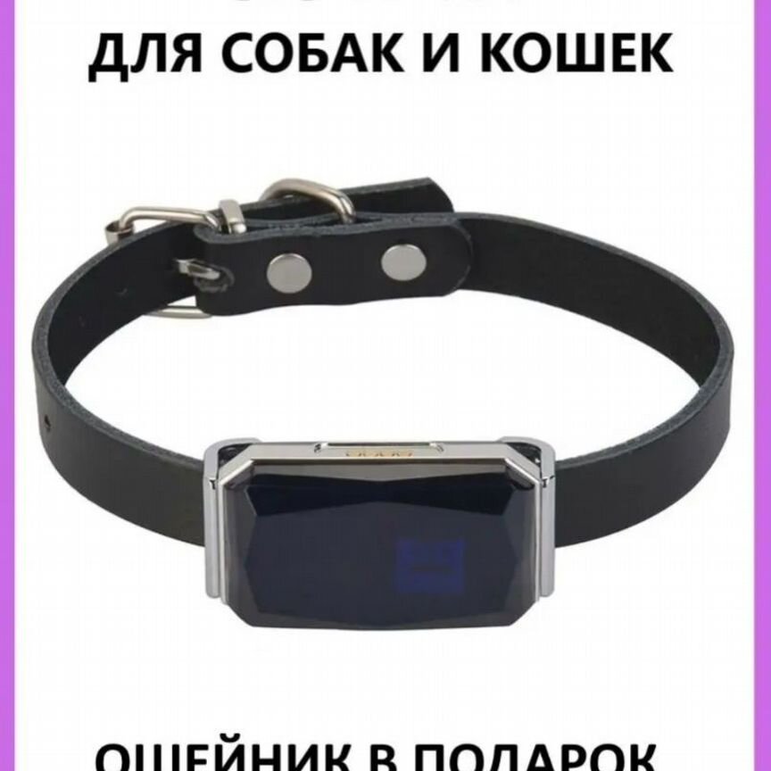 Gps ошейник для собак
