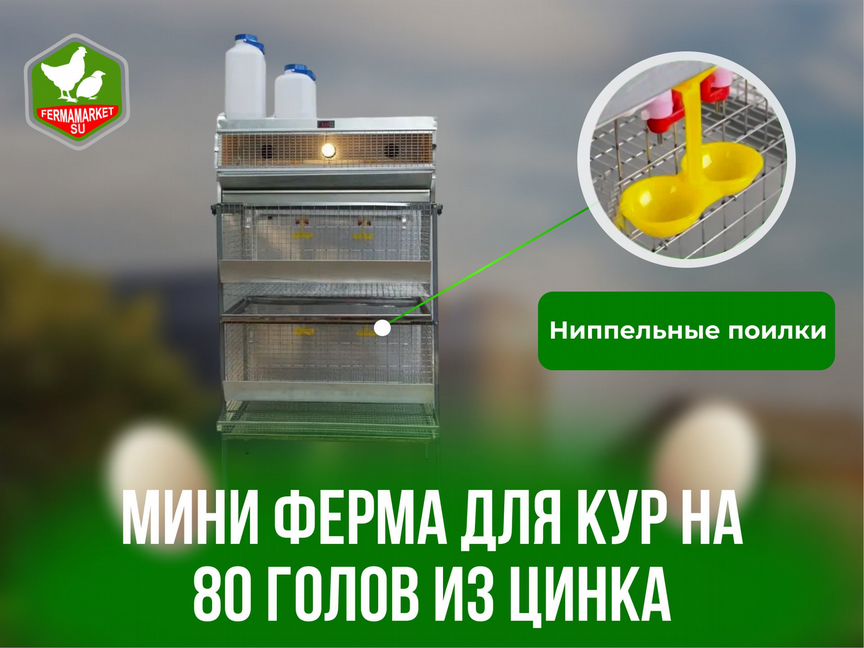 Мини ферма для кур на 80 голов из цинка