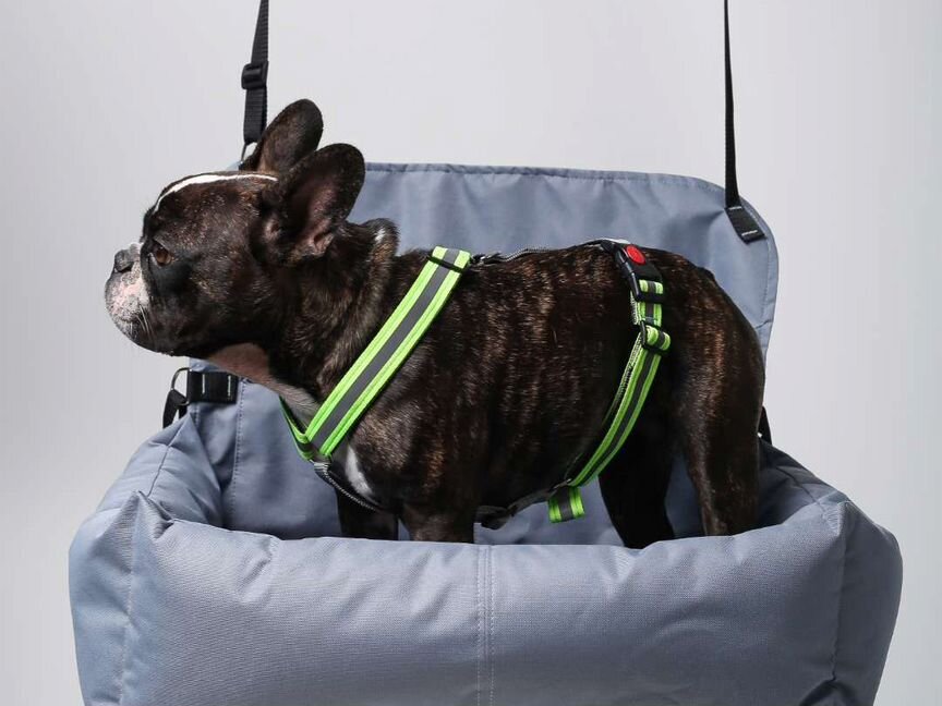 Автокресло для собак "Sport Dog"