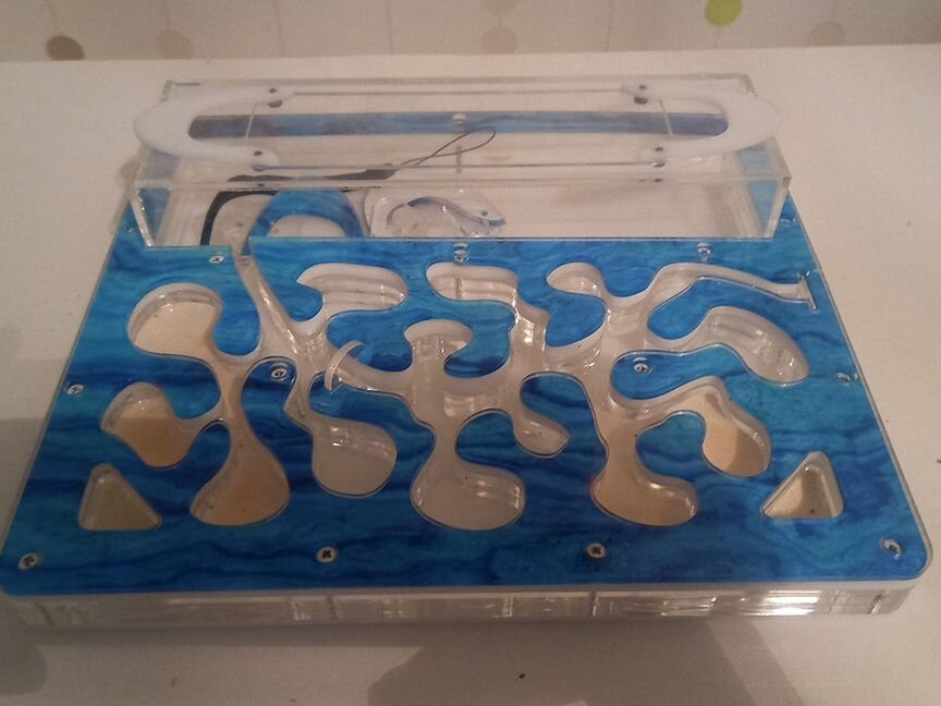 Муравьиная ферма antplanet standart