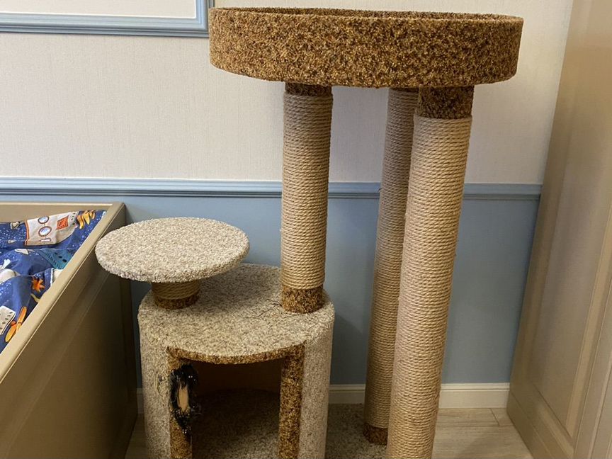 Домик для кота