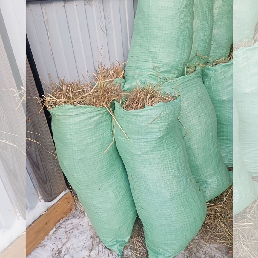 Сено в мешках с доставкой