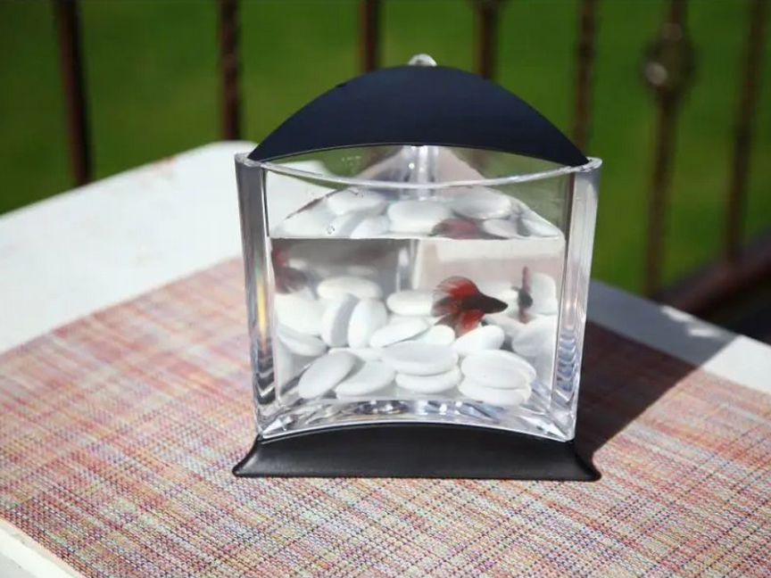 Аквариум треугольный для рыбки петушка