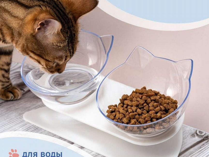 Миска для кошек