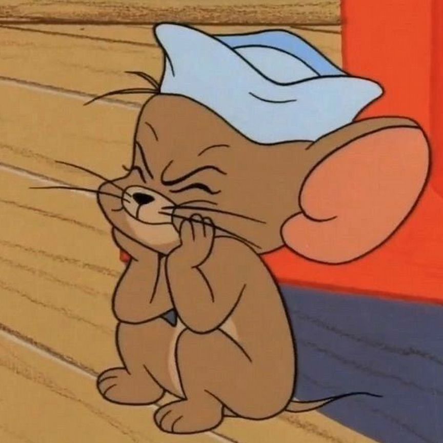 Британский длинношёрстный котёнок