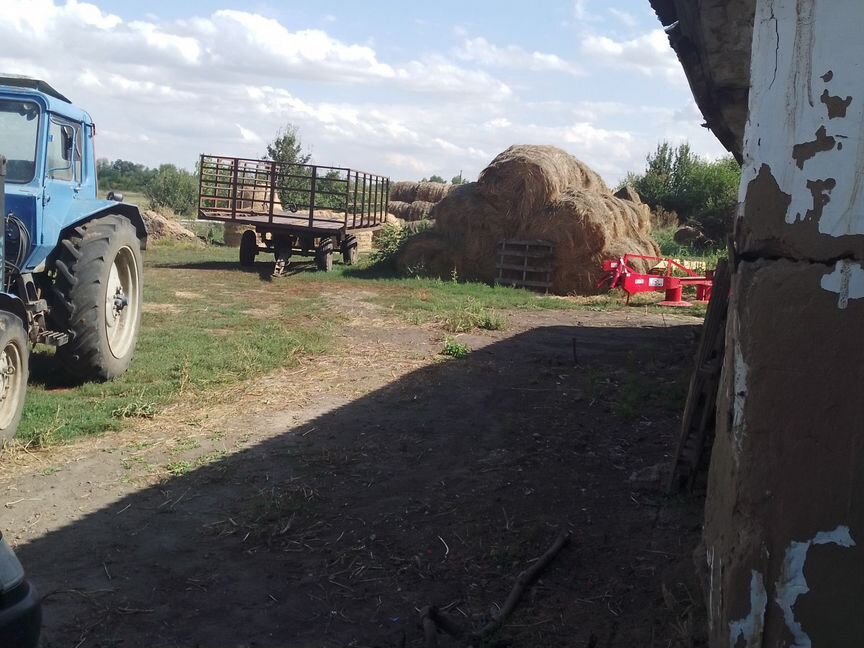 Сено в рулонах