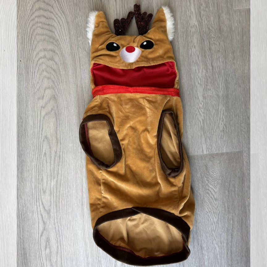 Костюм на собаку