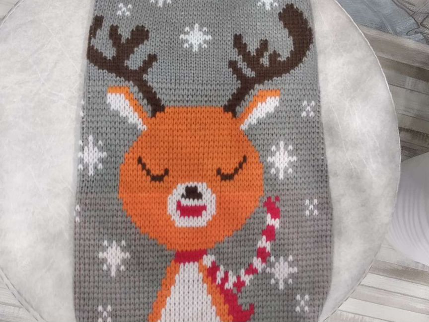 Одежда для животных