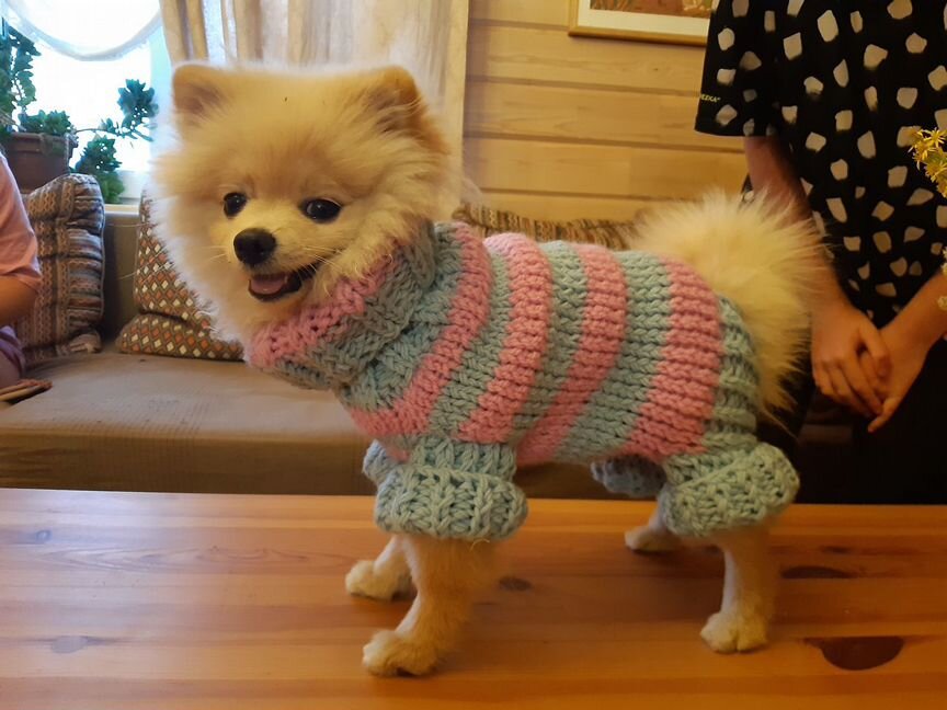 Комбинезоны, свитерочки, одежда маленьким собакам