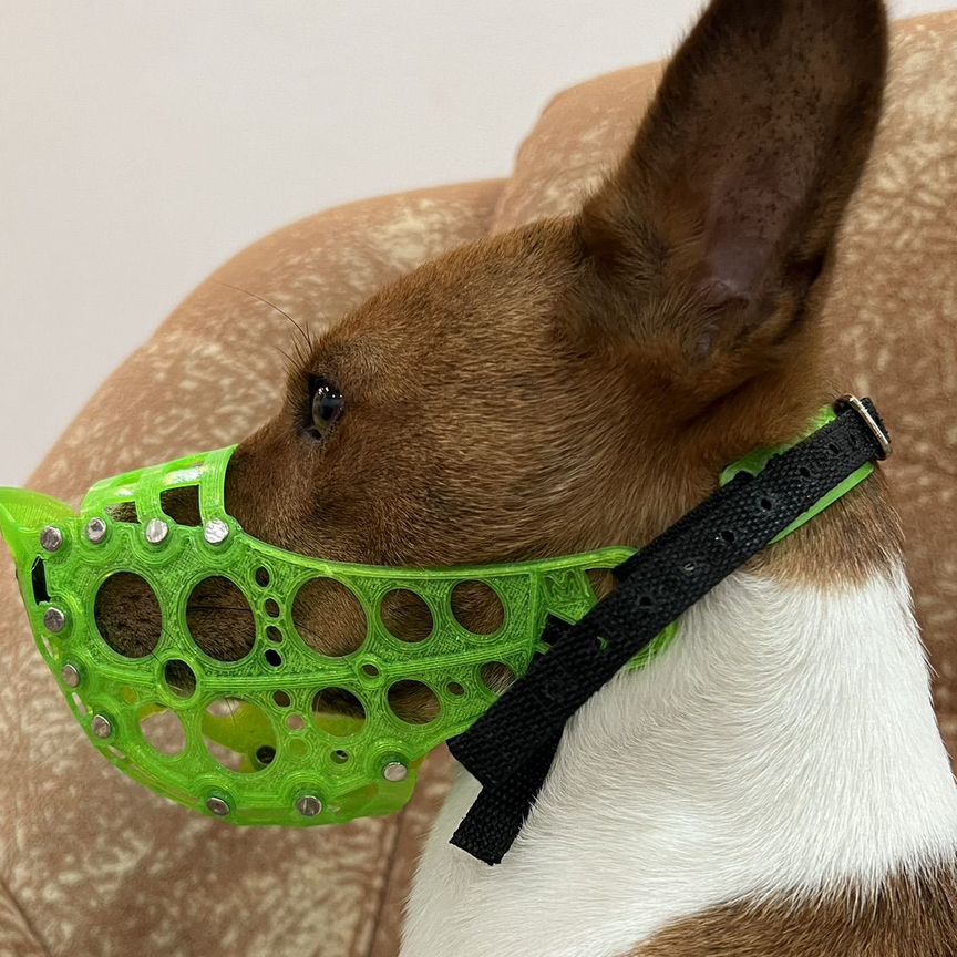 Беговой намордник для собак gluc