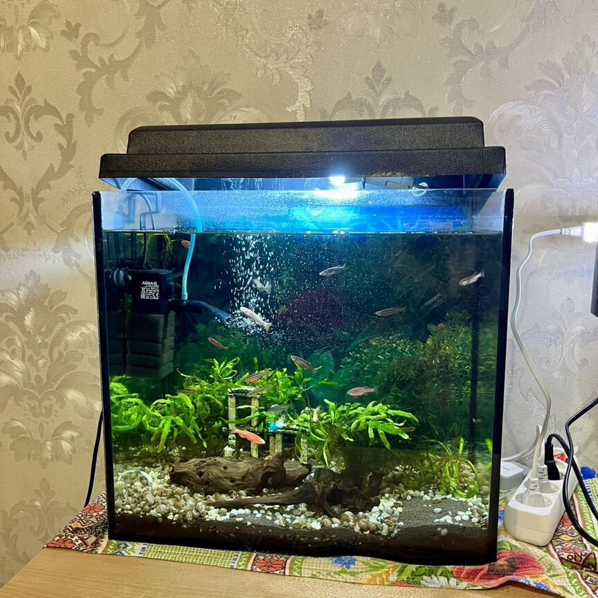 Аквариум с рыбками