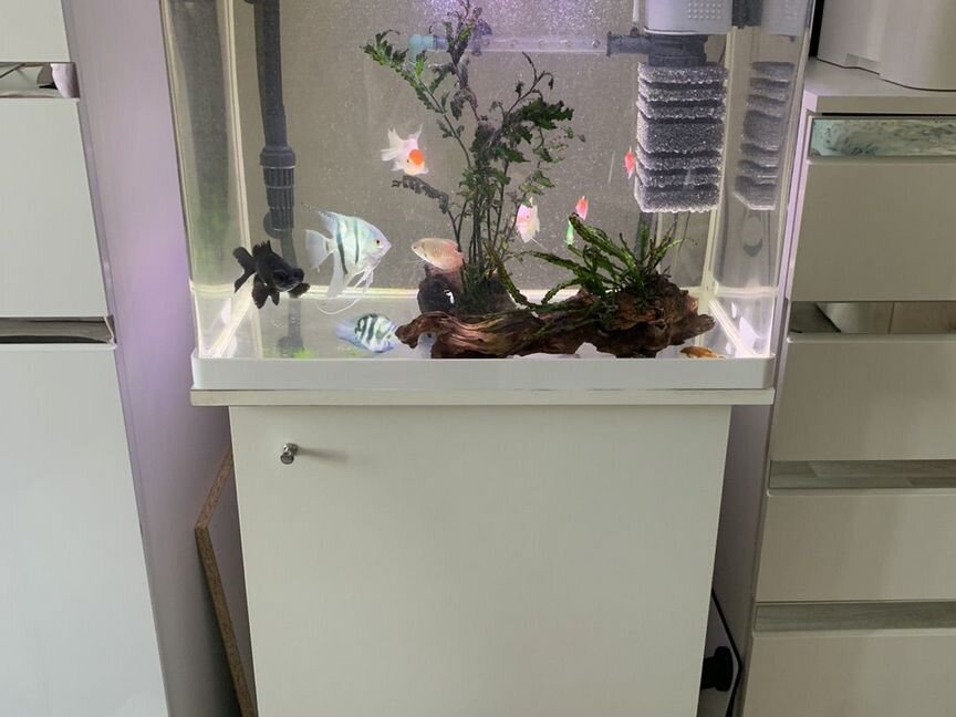 Продам акриловый аквариум с рыбками