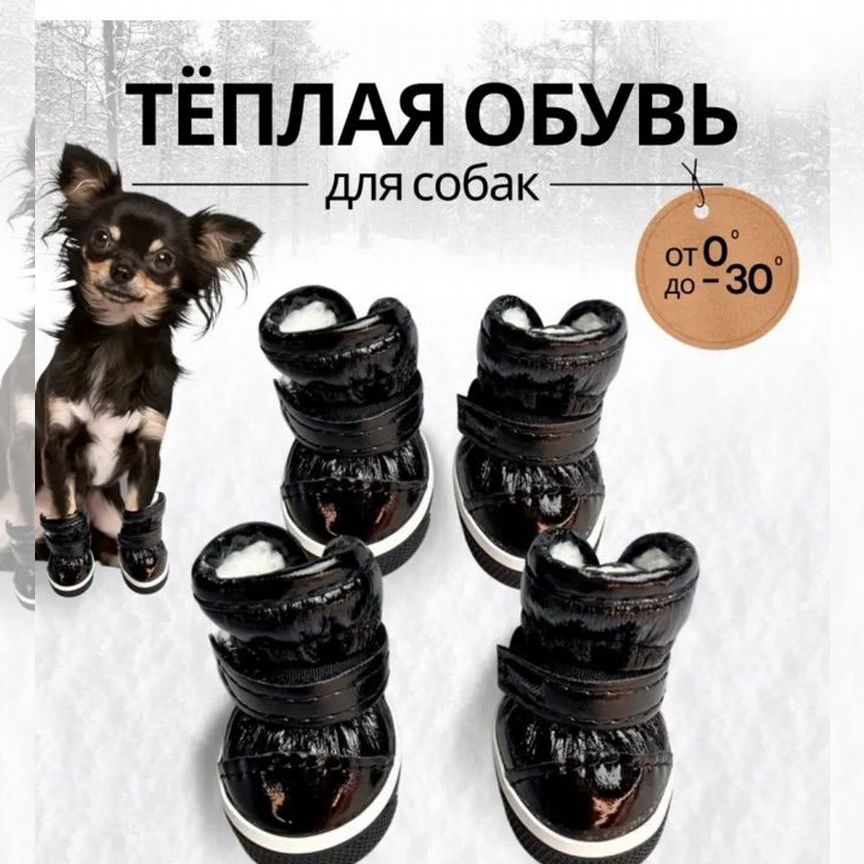 Ботинки для собак мелких пород