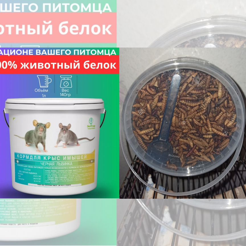 Товары для крыс, мышей и хомячков