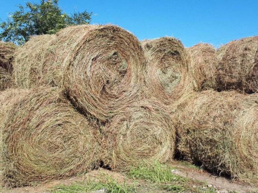 Продам сено, солому