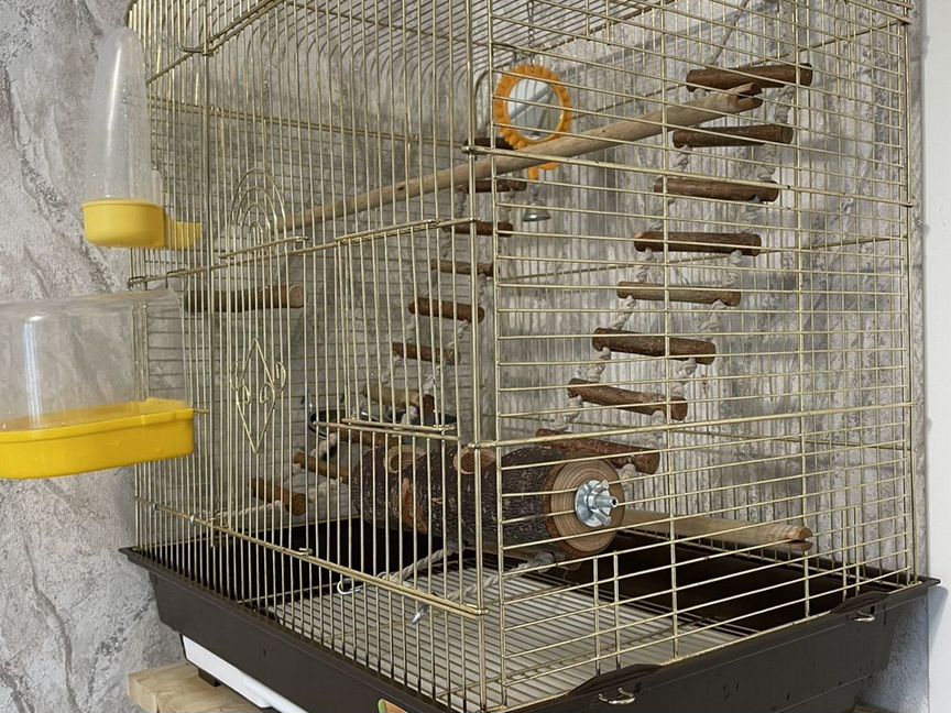 Клетка для попугая