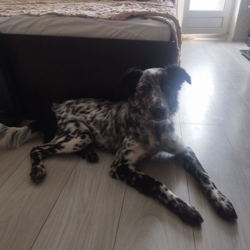 Мальчик рождённый 4.01.2024г