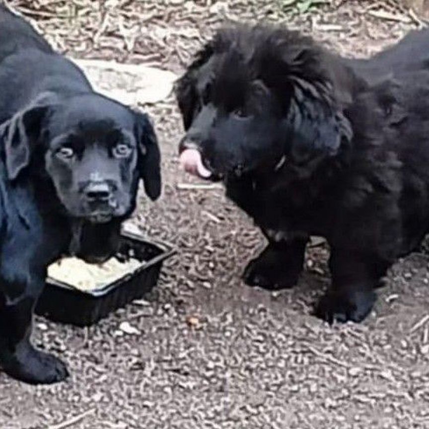 Мальчики, маленькие будут