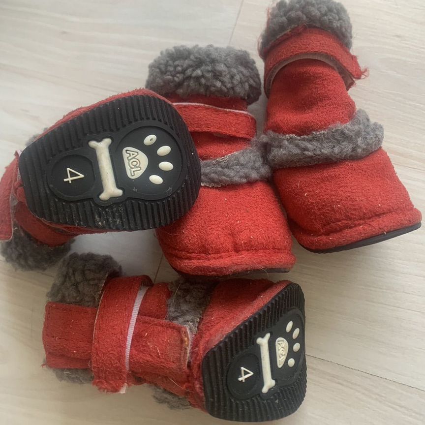 Обувь для собак мелких пород