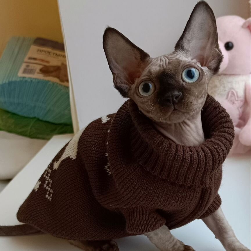 Малыш Девончик