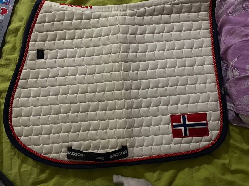 Вальтрап пони