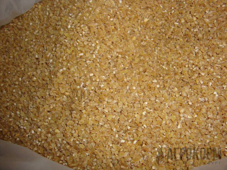 Ячмень дробленый