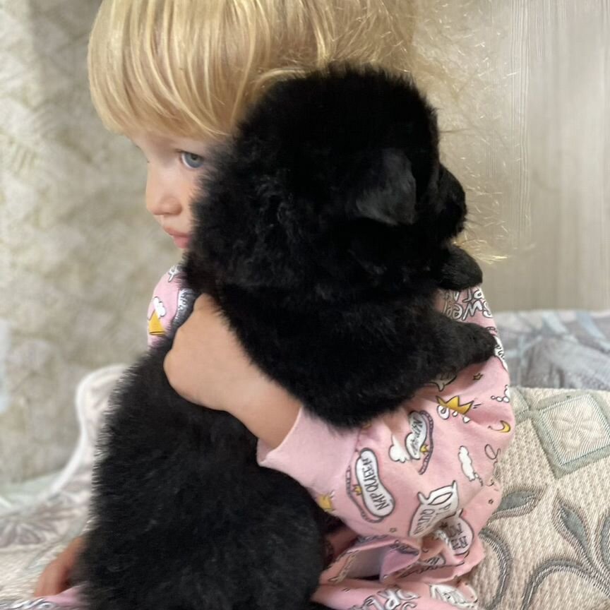 Щенки Немецкой овчарки