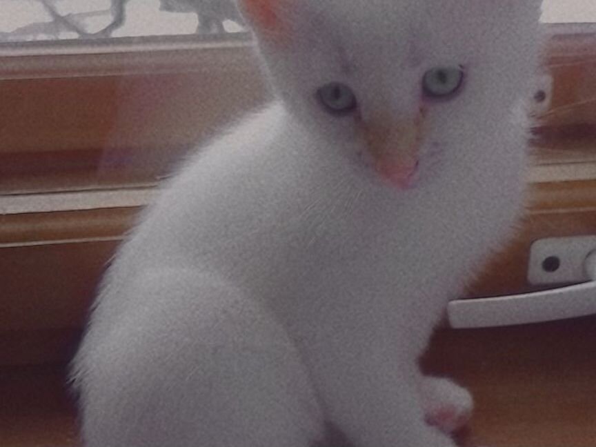 Маленькое золотце в добрые ручки