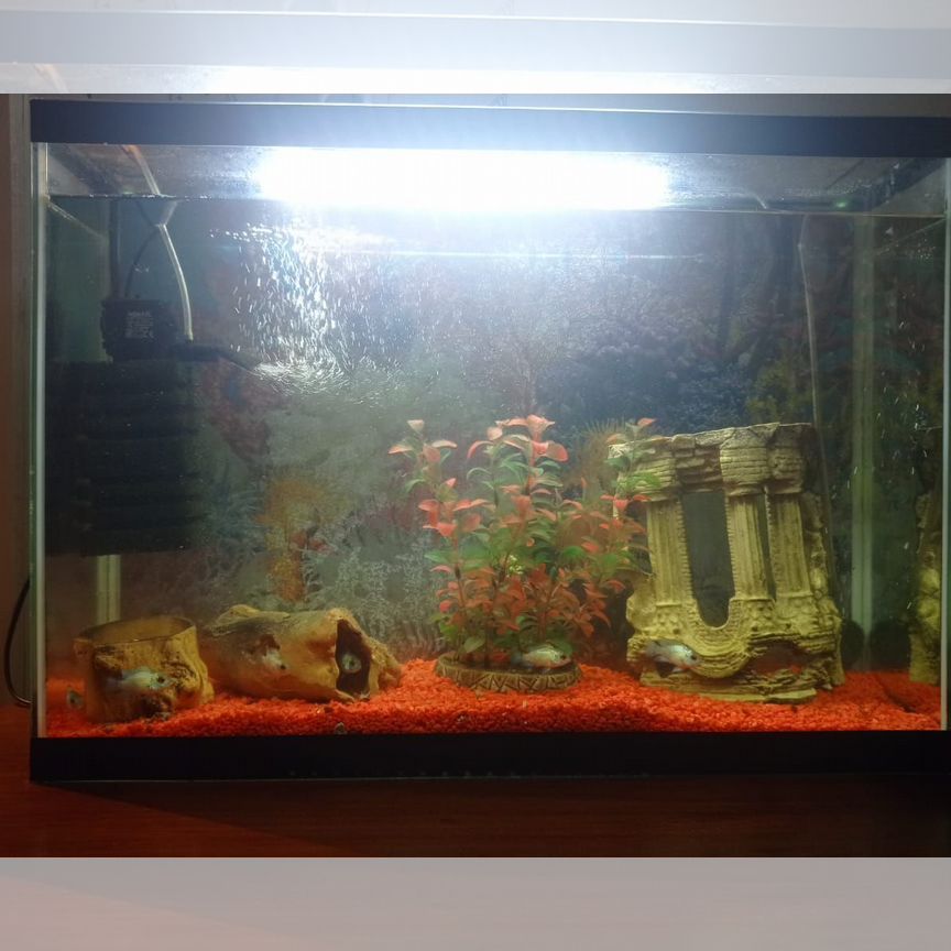 Аквариум