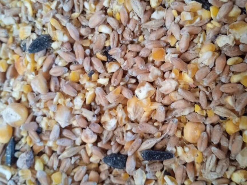 Корма для животных