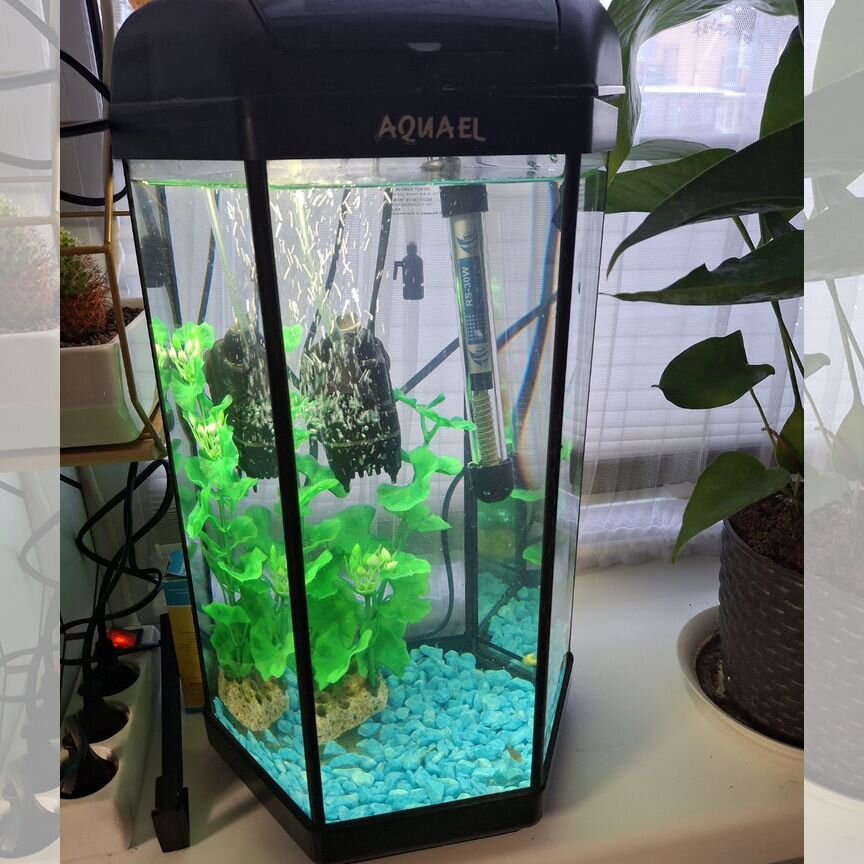 Аквариум 15 литров