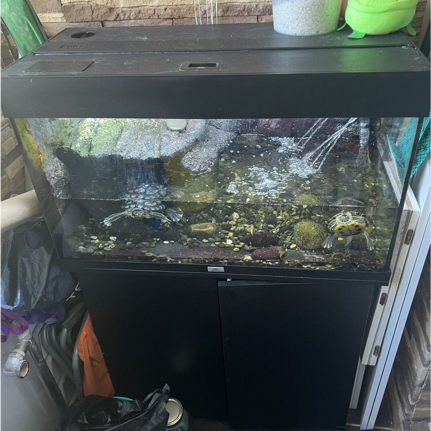 Аквариум с черепахами juwel 125 литров