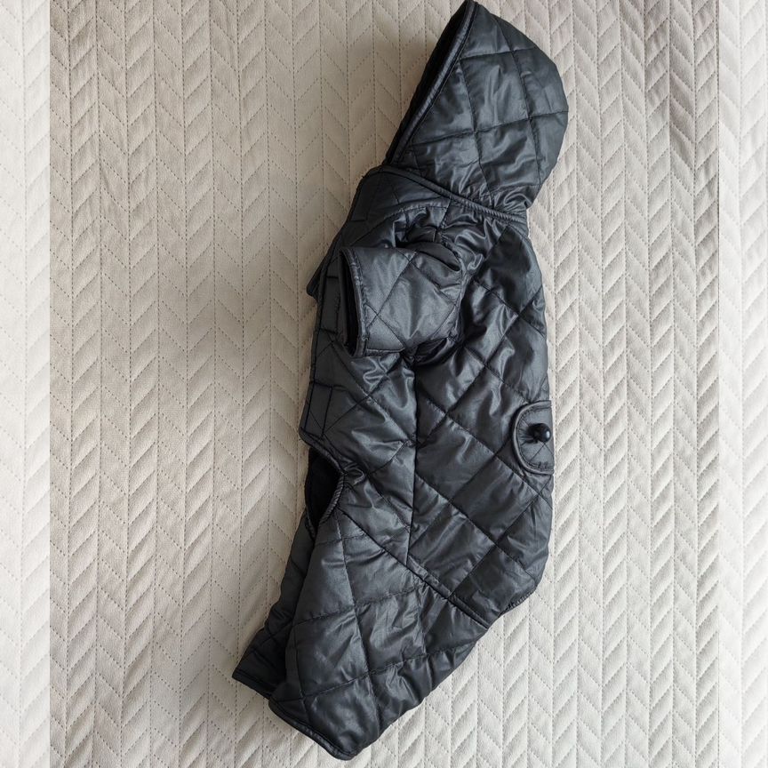 Одежда для маленьких собак м